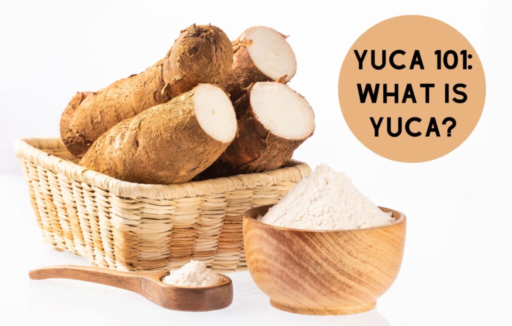 Yuca 101: What Is Yuca? | MIC Food