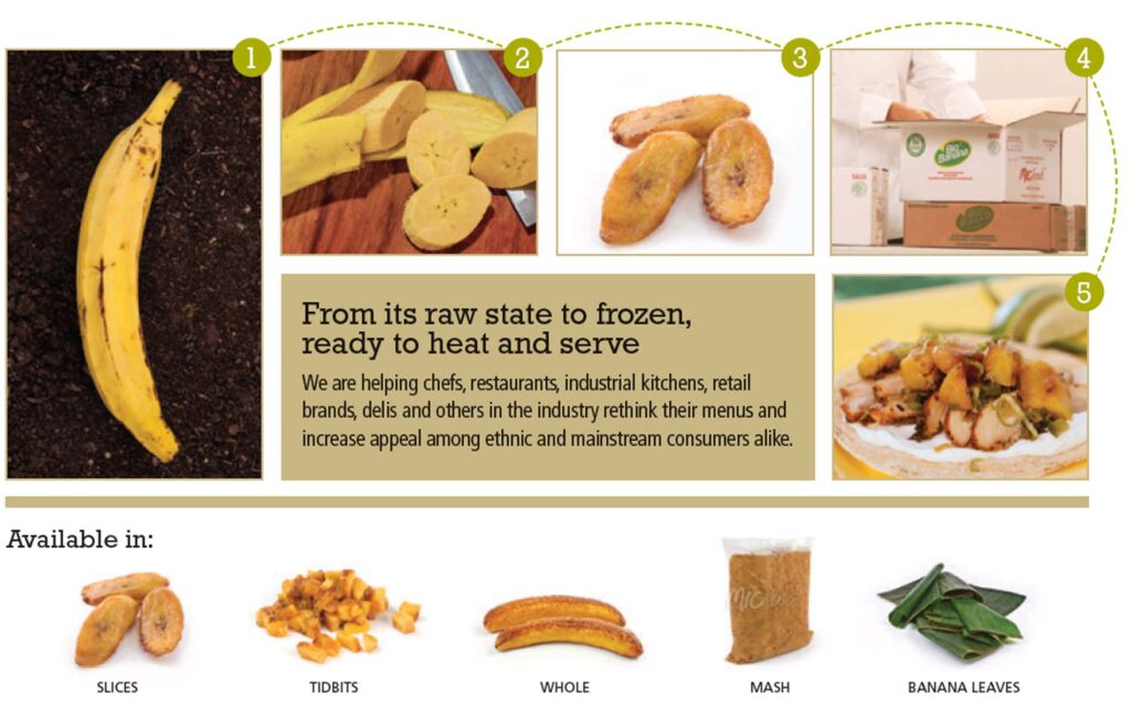 Plantain 101: What Is A Plantain? | MIC Food