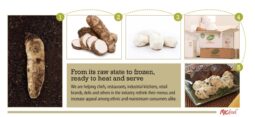 Malanga 101: What is Malanga? | MIC Food