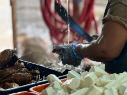 Individual Quick Freezing (IQF): A Comprehensive Guide